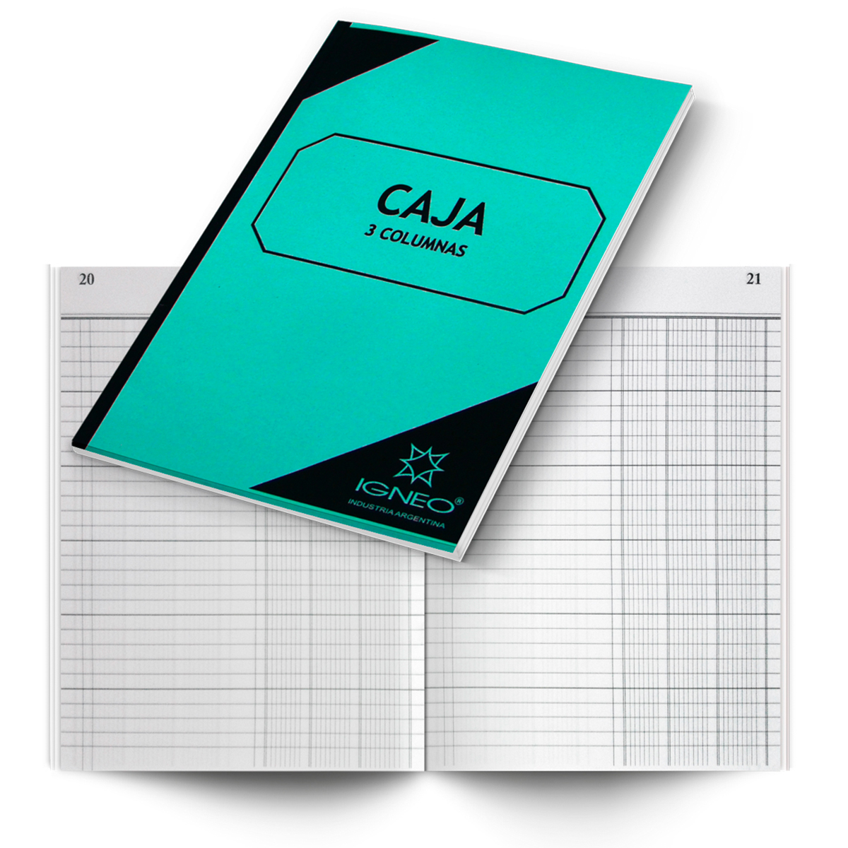 Libro Caja – Industria Grafica del Centro S.A.